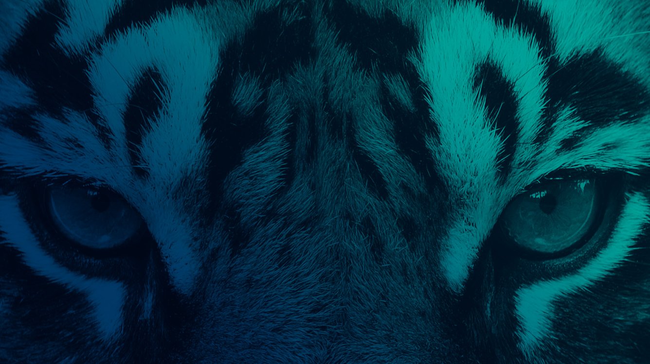 The Increasing Urgency for a More Secure Microsoft 365 Backup | Asigra